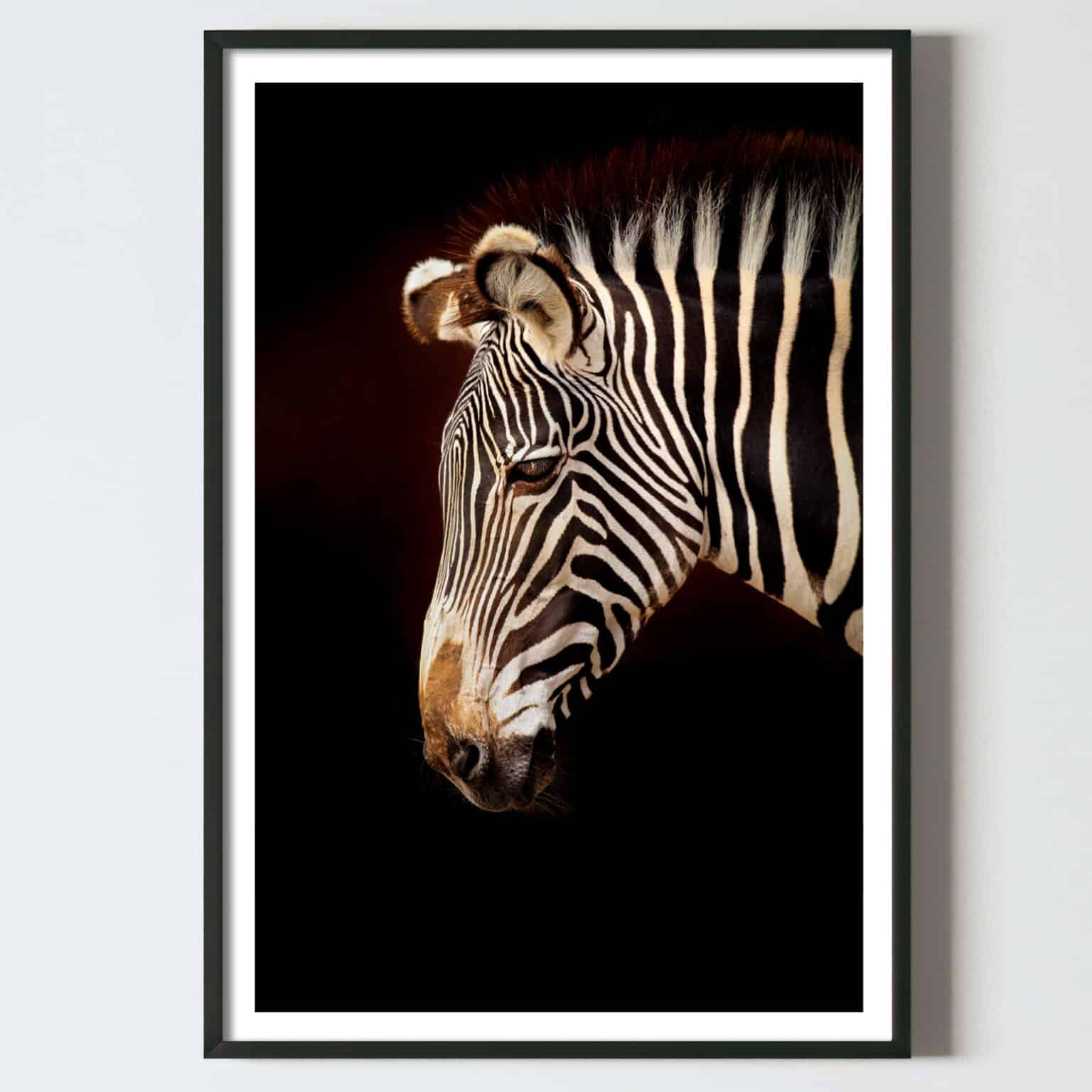 Postere tablouri și decorațiuni perete