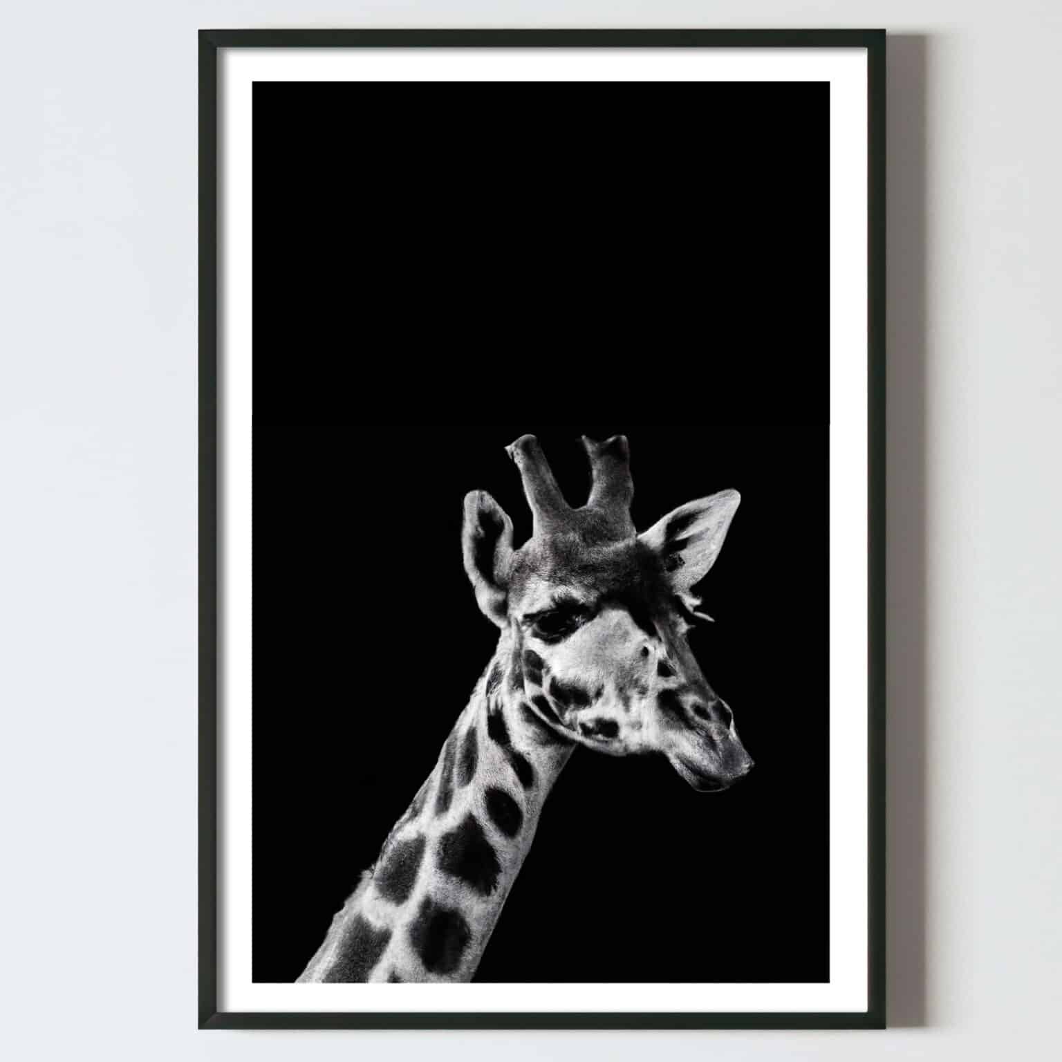 Postere tablouri și decorațiuni perete